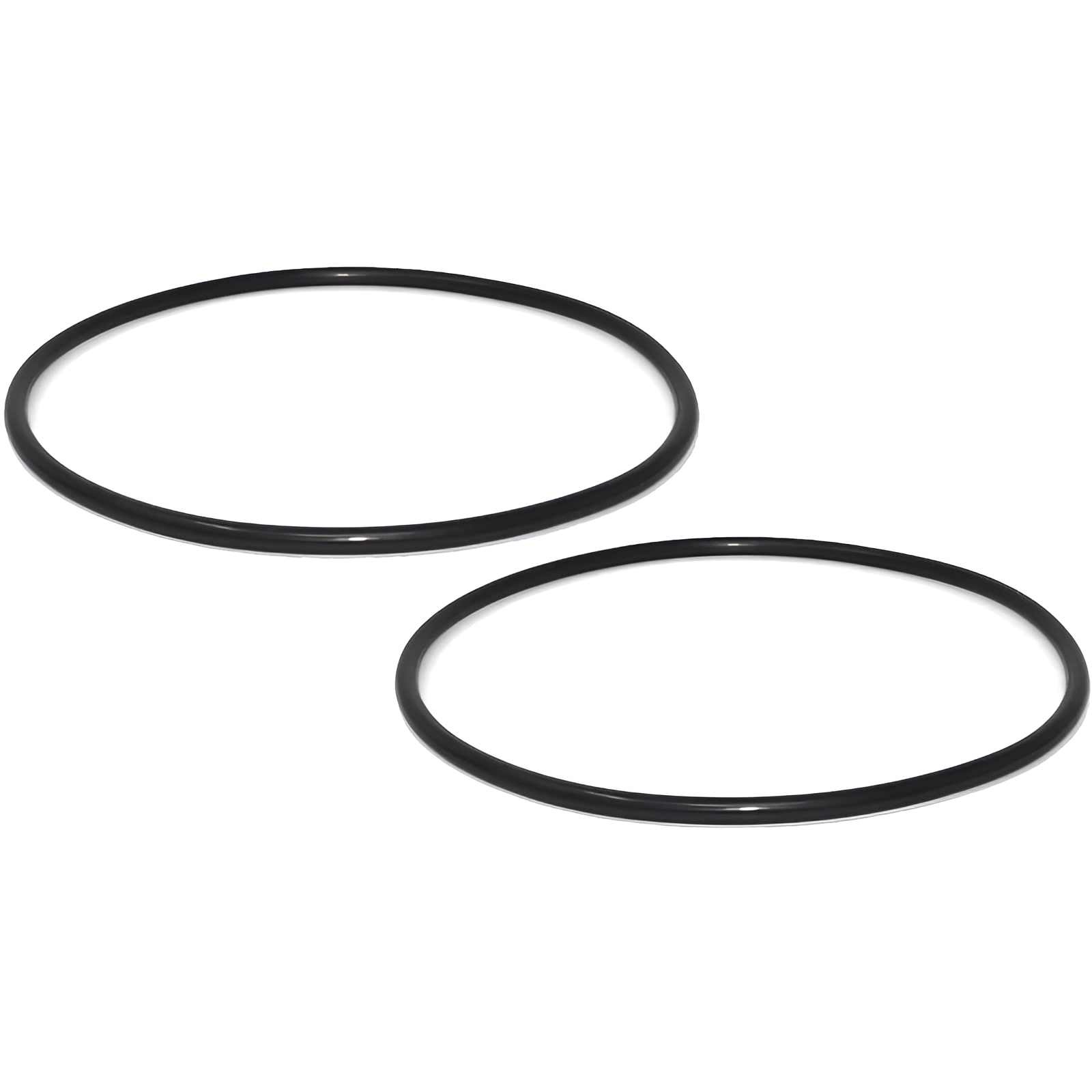 Aqua Flo Platinum Double O-Ring For 4.5" BV Housings (60010559) – Oasis H2O